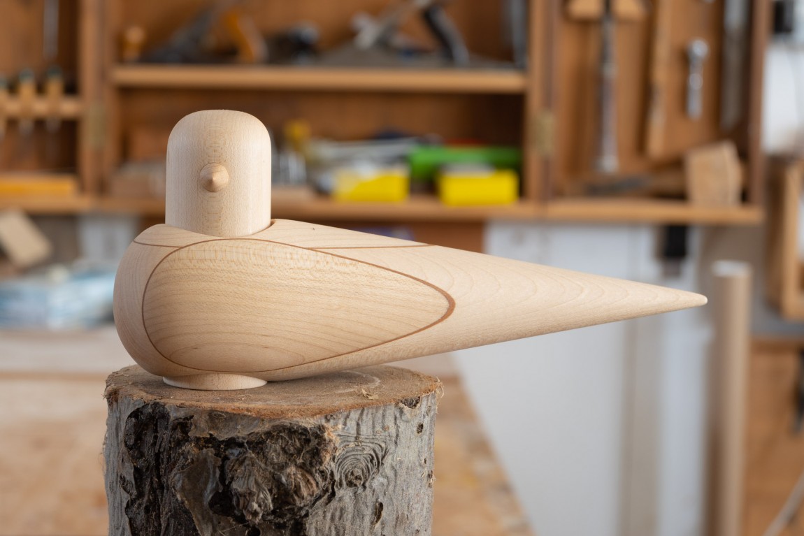 Birds – Gavin Coyle