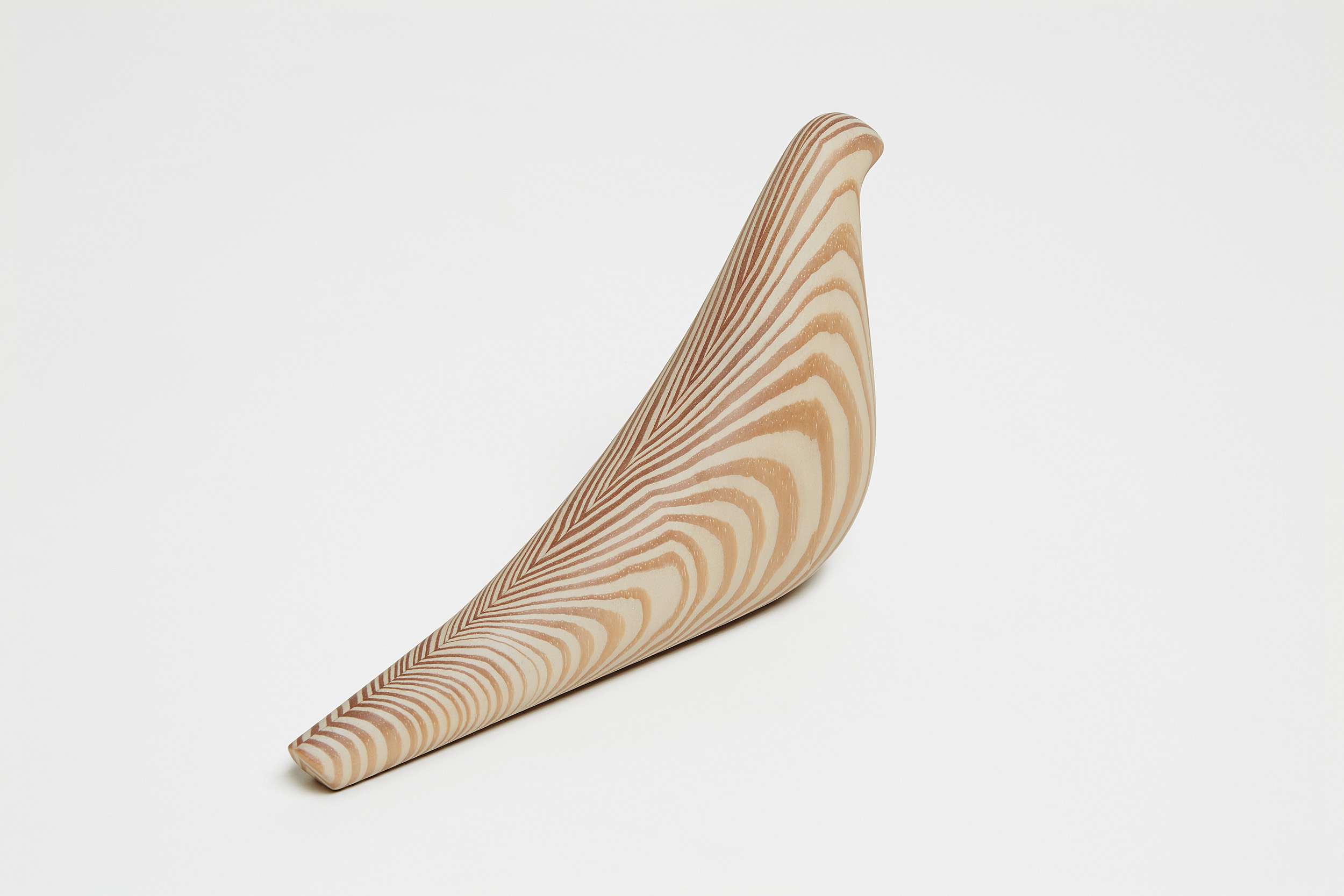 Birds – Gavin Coyle